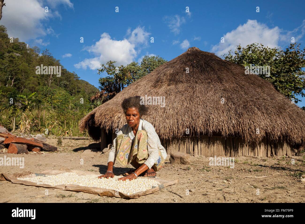 Indonesia, East Nusa Tenggara, West Timor, South Central Timor Regency ...