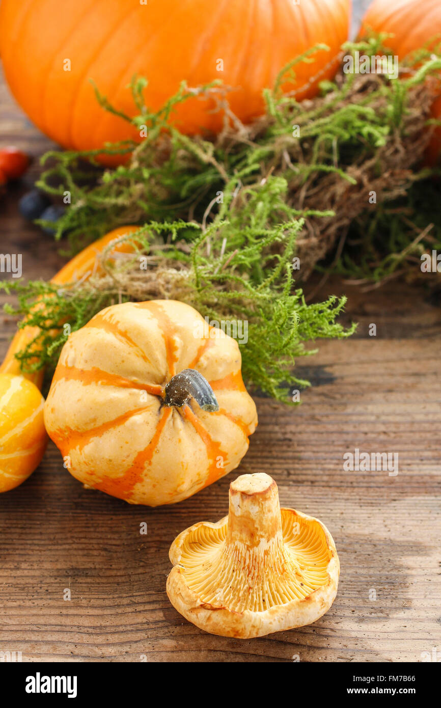 Mushrooms and pumpkins Stock Photo - Alamy