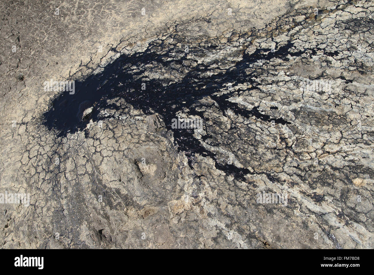 Natural petroleum seep and deposits of bitumen, north of Baku ...