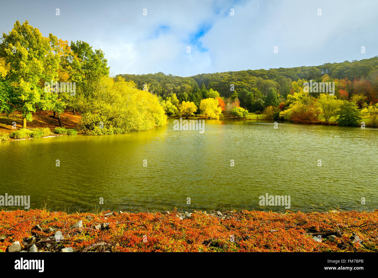 Beautiful pond around tree hi-res stock photography and images - Alamy