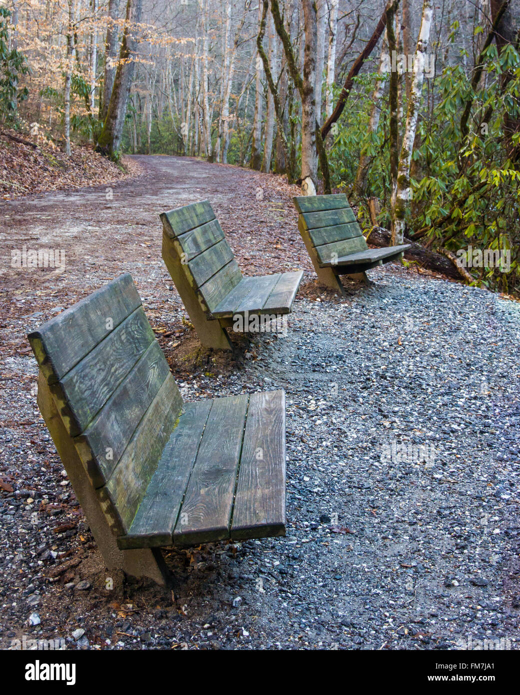 Group of benches looking in same direction at a scenic overlook in the ...