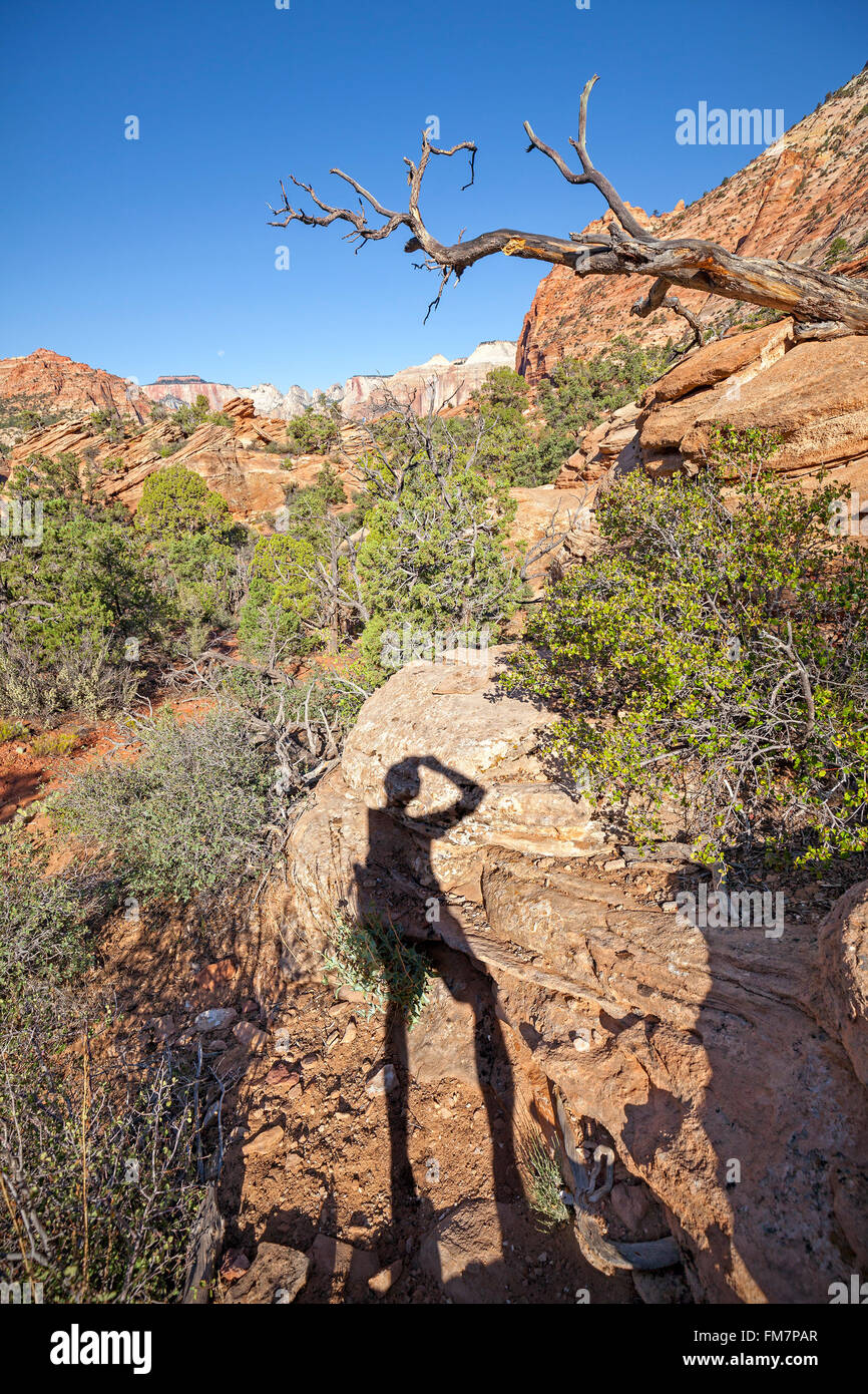Shadow of a photographer taking picture in Zion National Park, Utah ...