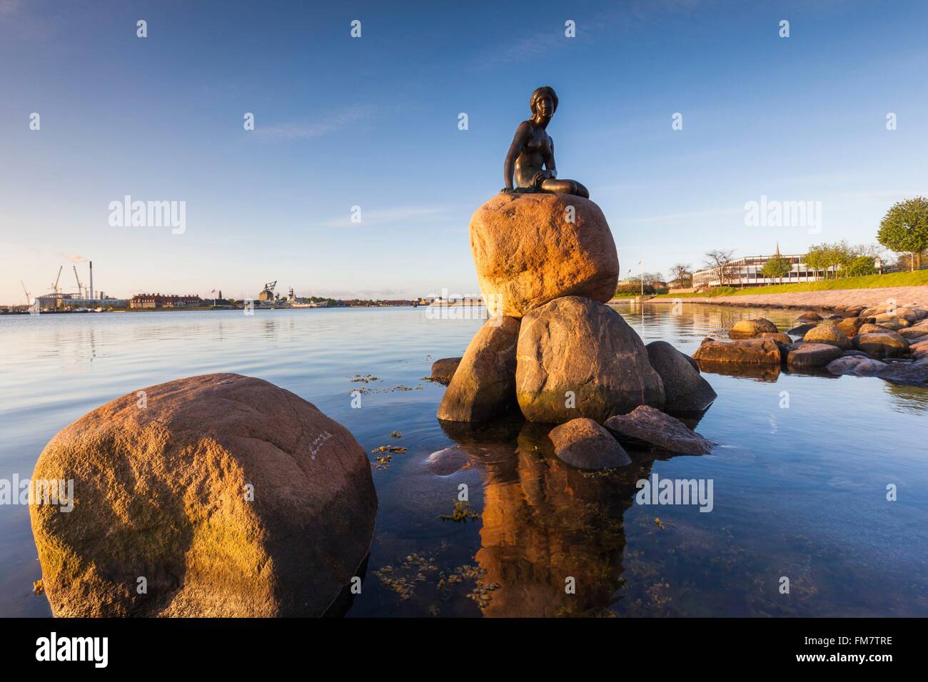 Denmark, Zealand, Copenhagen, The Little Mermaid statue, sunrise Stock ...