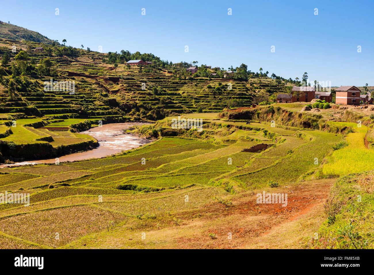 Madagascar, Central Highlands, Antsirabe region, rice fields to ...