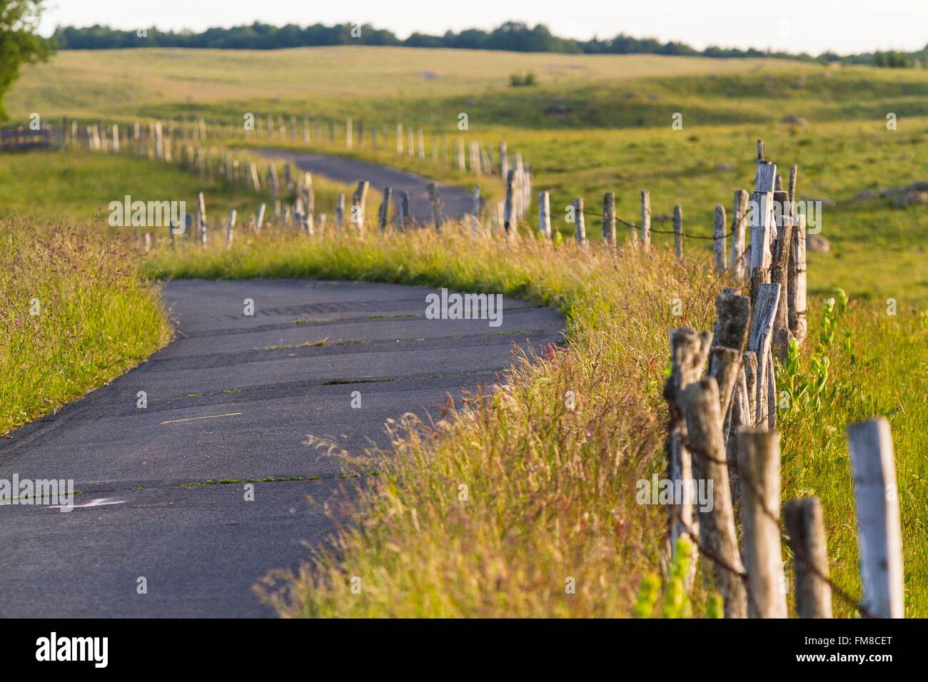 France, Lozère, Aubrac plateau road Stock Photo - Alamy