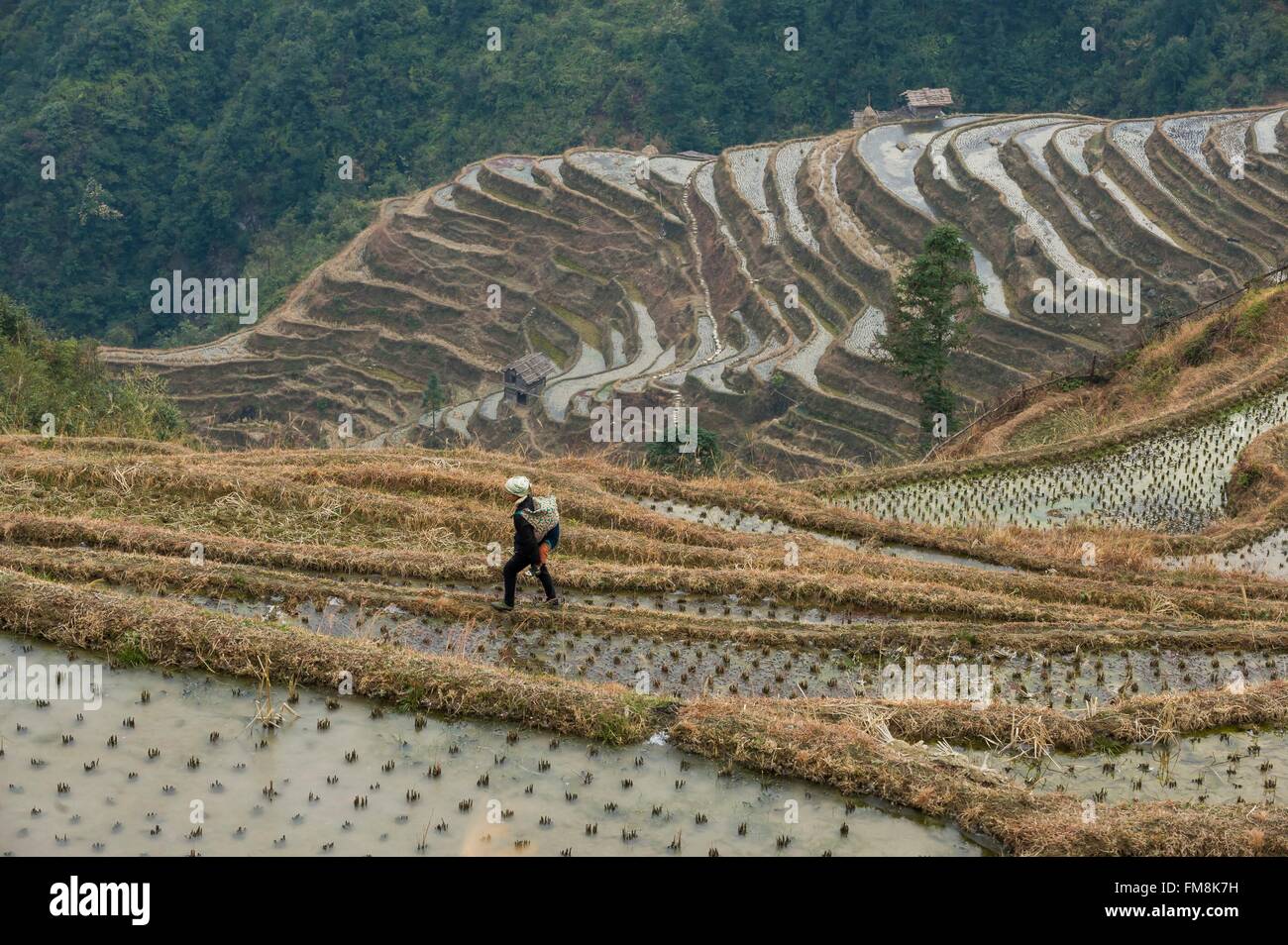 Jiabang rice terrace hi-res stock photography and images - Alamy