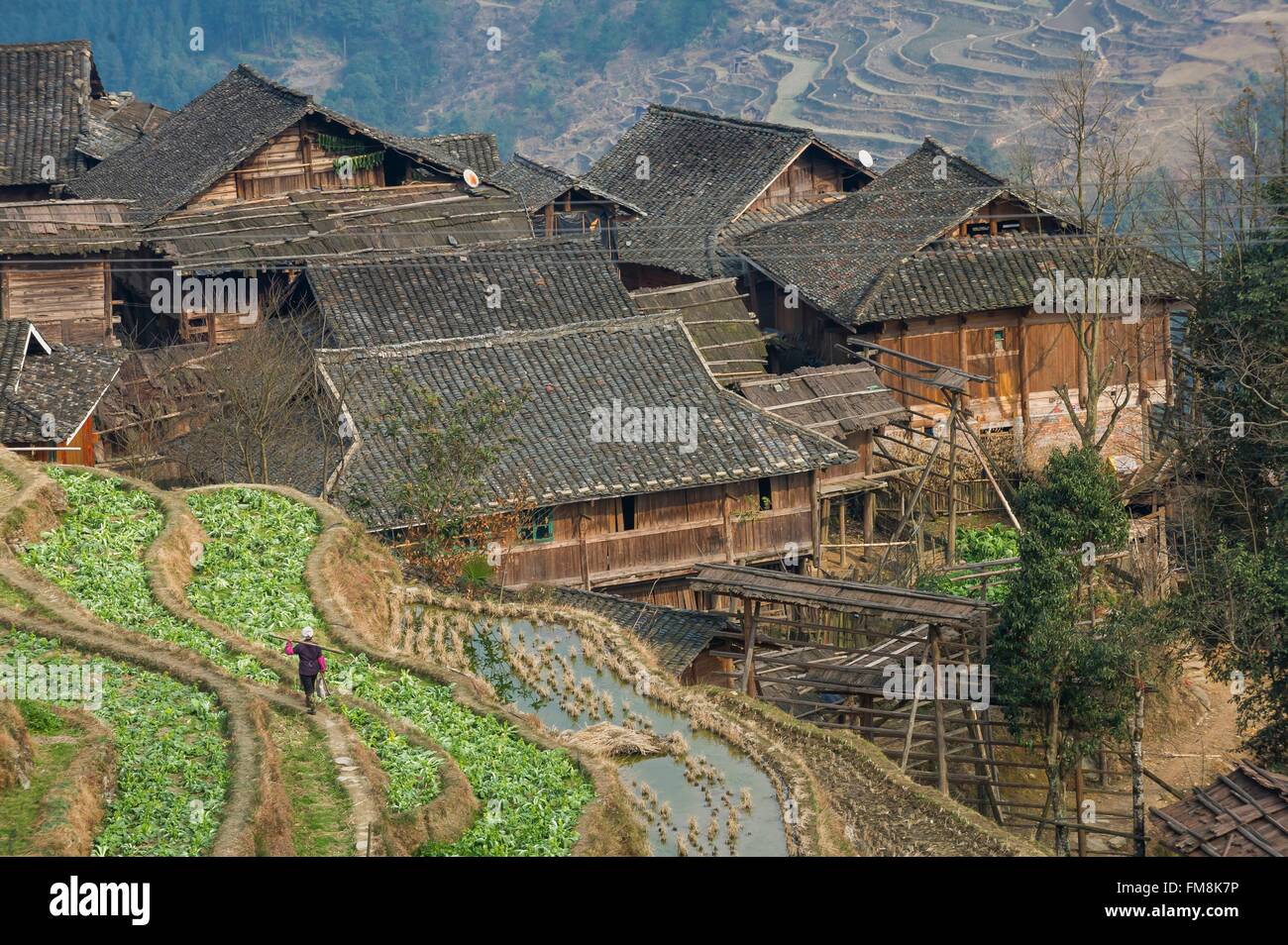 China, Guizhou, Jiabang, village amidst terraced rice paddies Stock ...