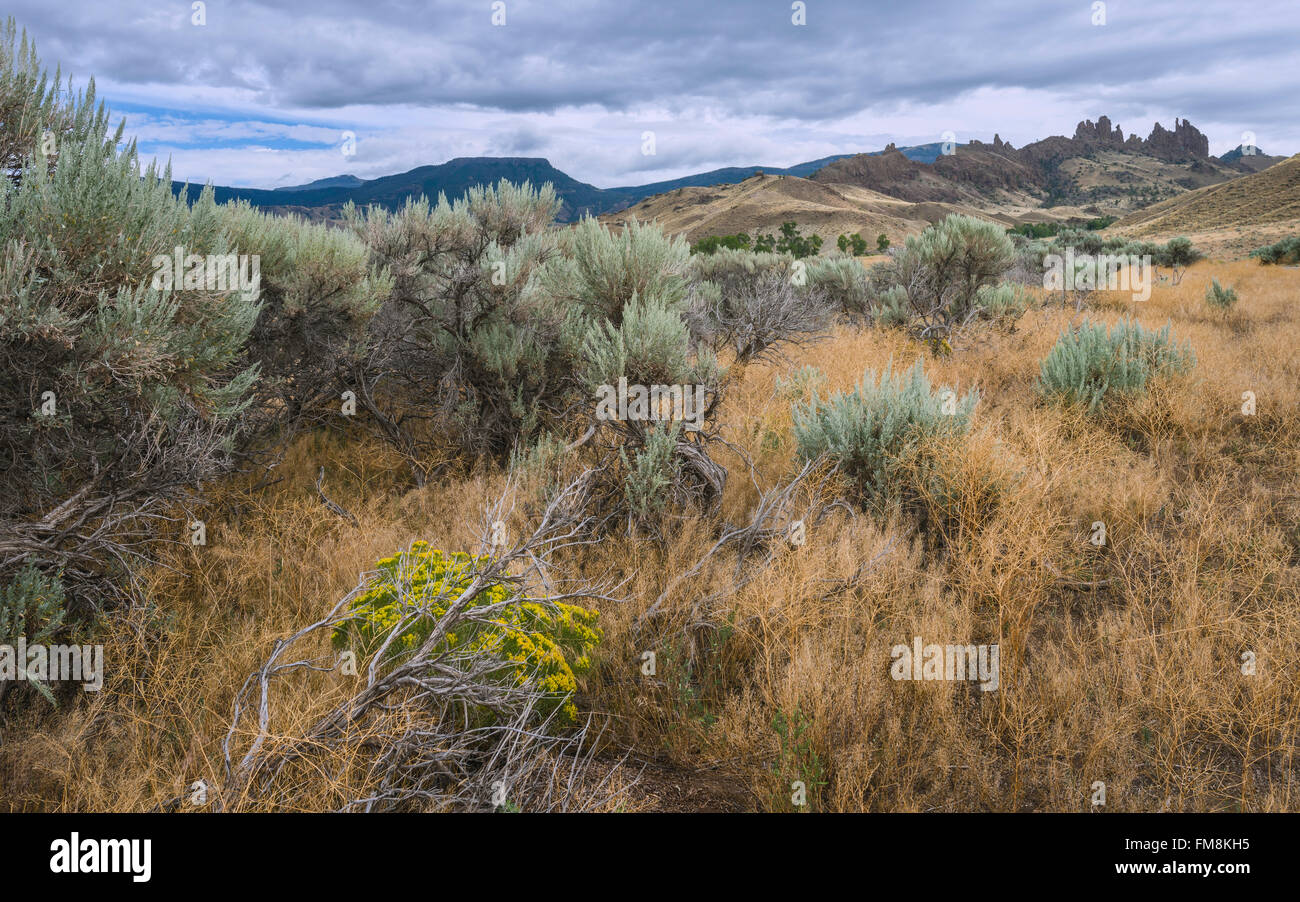 Grass and sagebrush hi-res stock photography and images - Alamy