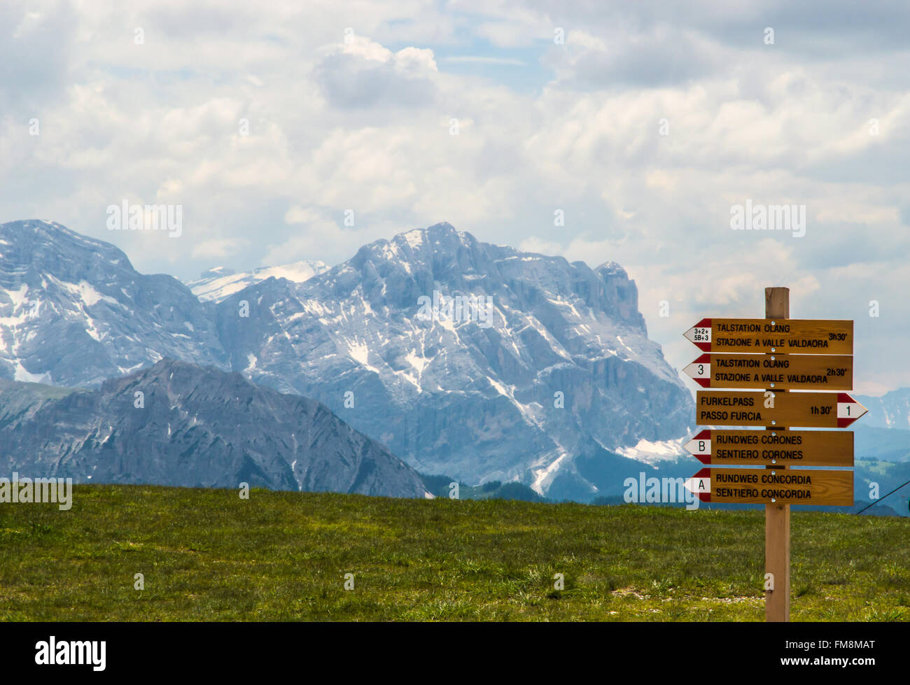 Alpine meadow with wooden signage that indicate many trails Stock Photo ...