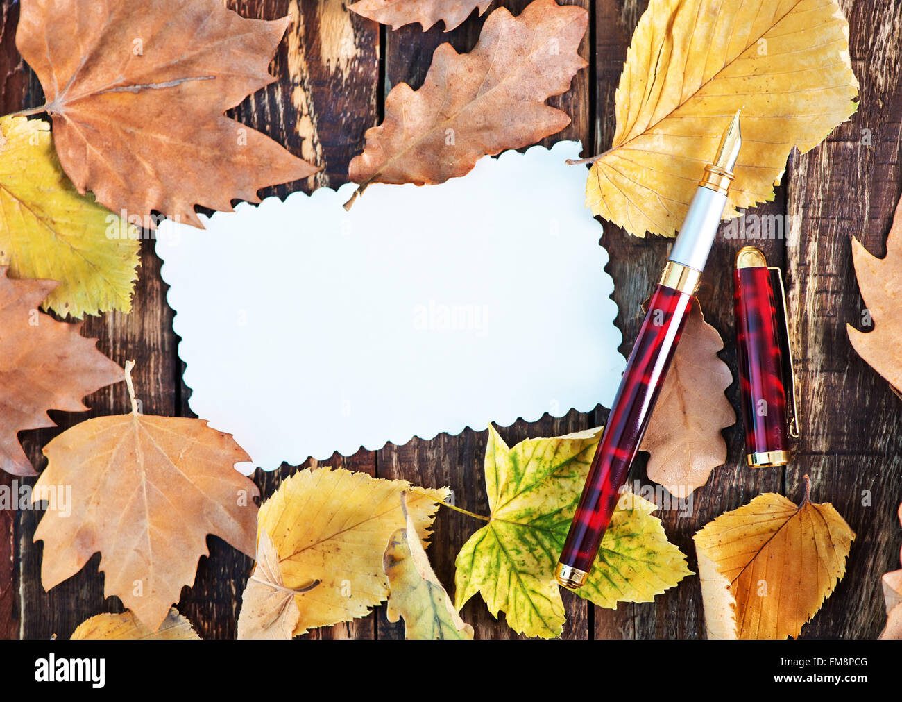 autumn leaves on a table, autumn background Stock Photo - Alamy