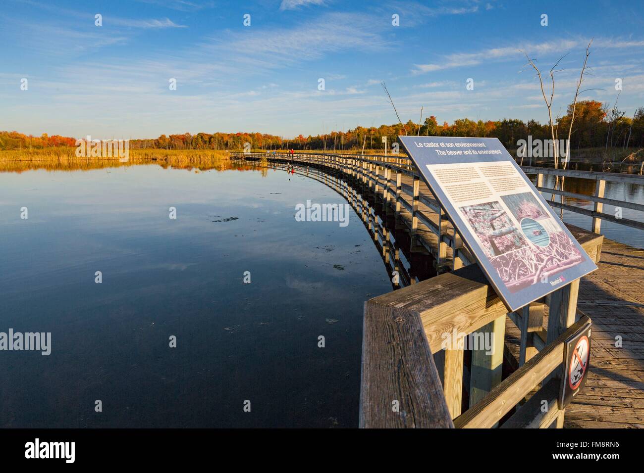 Canada, Quebec province, Montreal, Bizard Island, the Nature Park Bois ...