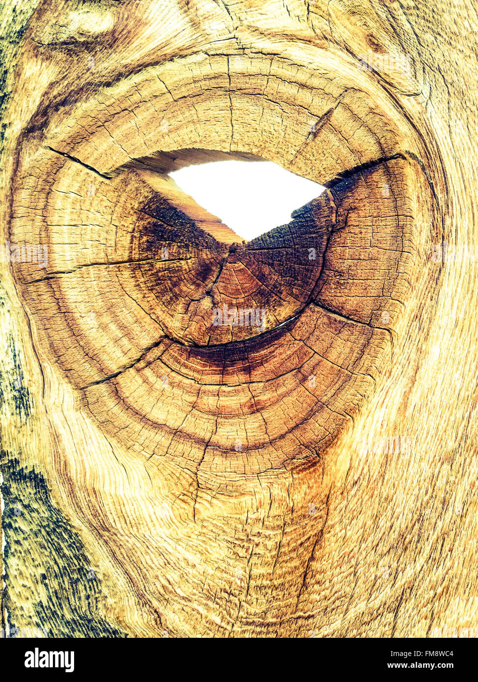 Broken Wood Plank Stock Photos & Broken Wood Plank Stock Images - Alamy