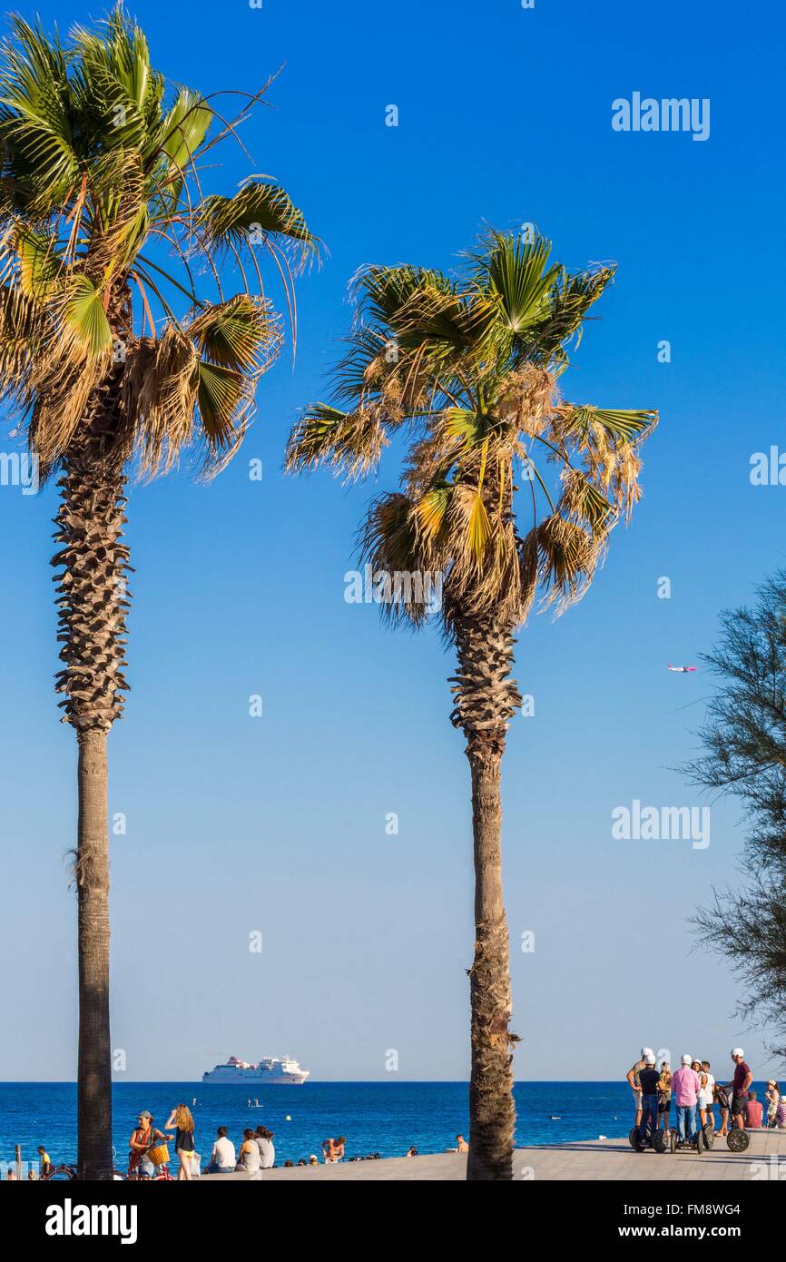 Spain, Catalonia, Barcelona, La Barceloneta, waterfront Stock Photo - Alamy