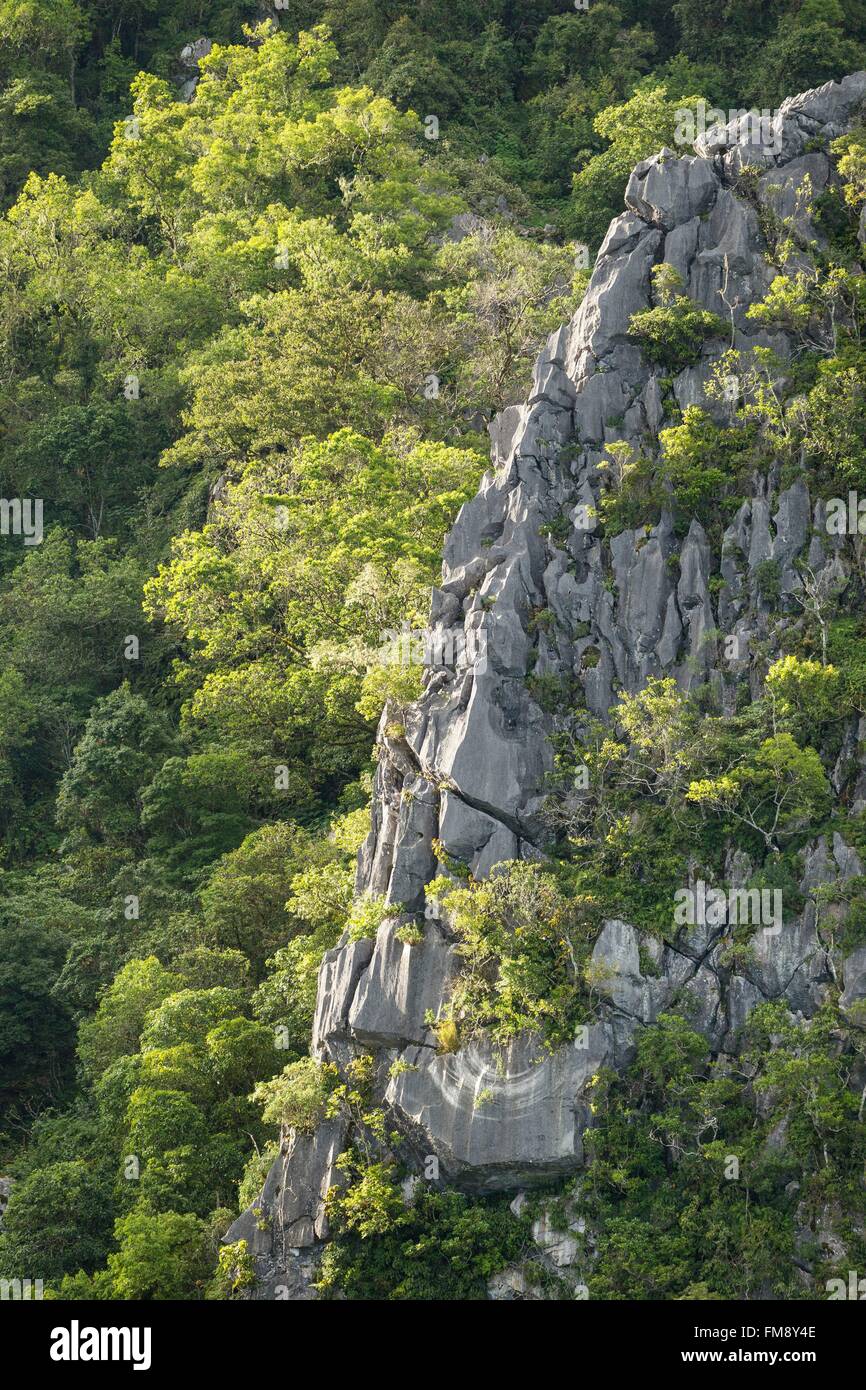 Indonesia, East Nusa Tenggara, West Timor, South Central Timor Regency ...