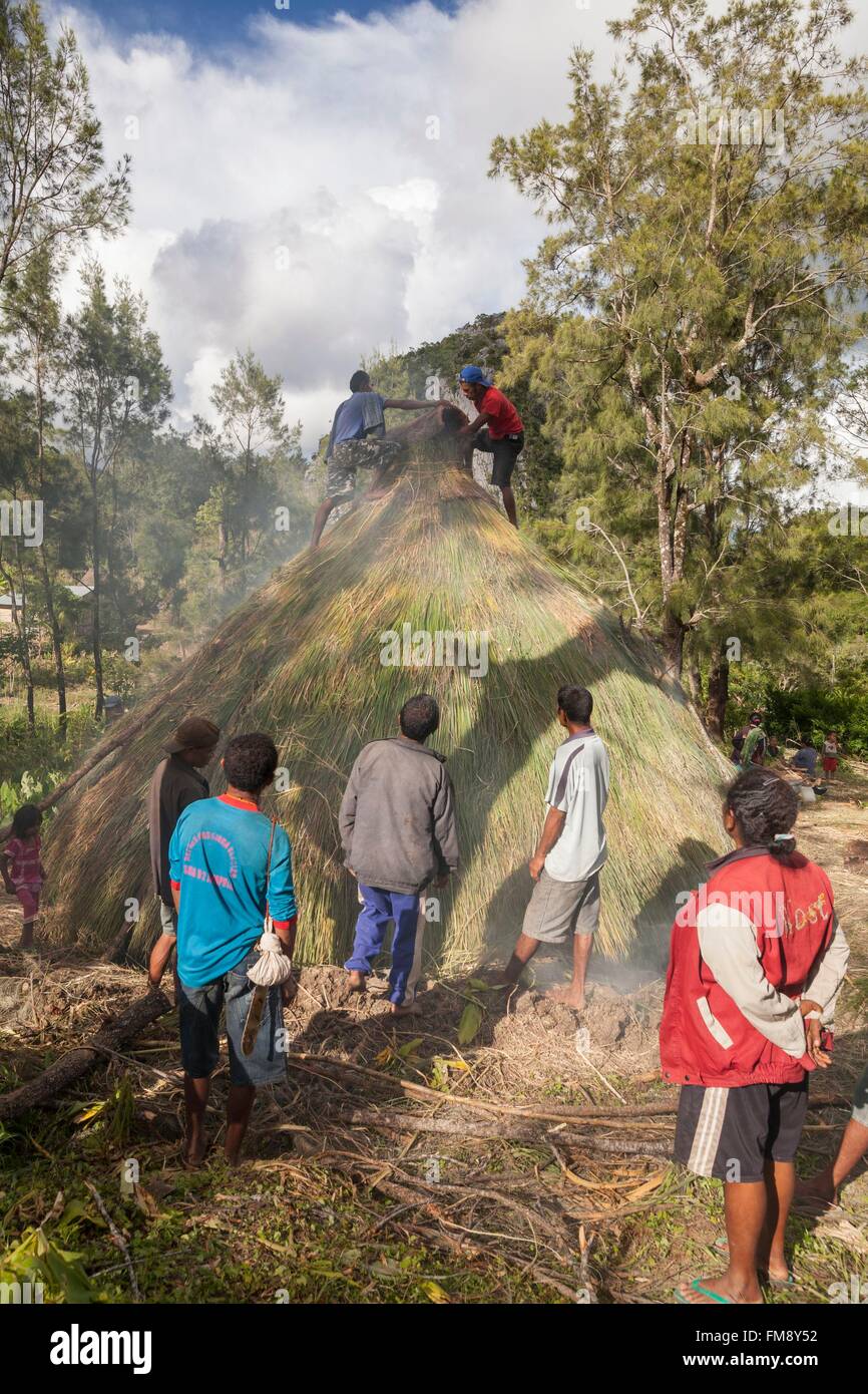 Indonesia, East Nusa Tenggara, West Timor, South Central Timor Regency ...