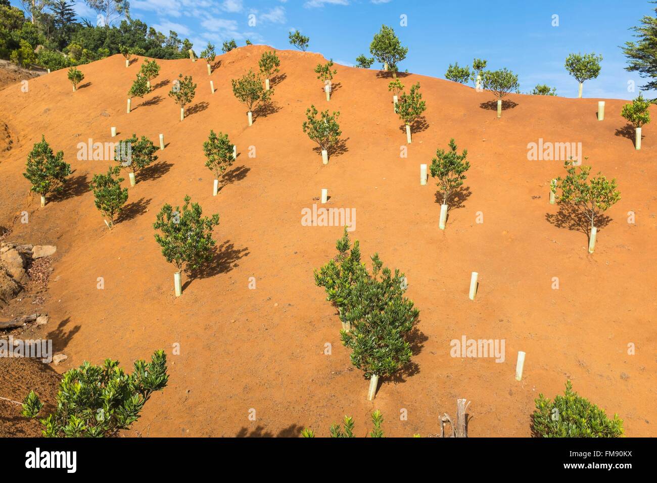 Spain, Canary Islands, El Hierro island declared a Biosphere Reserve by ...