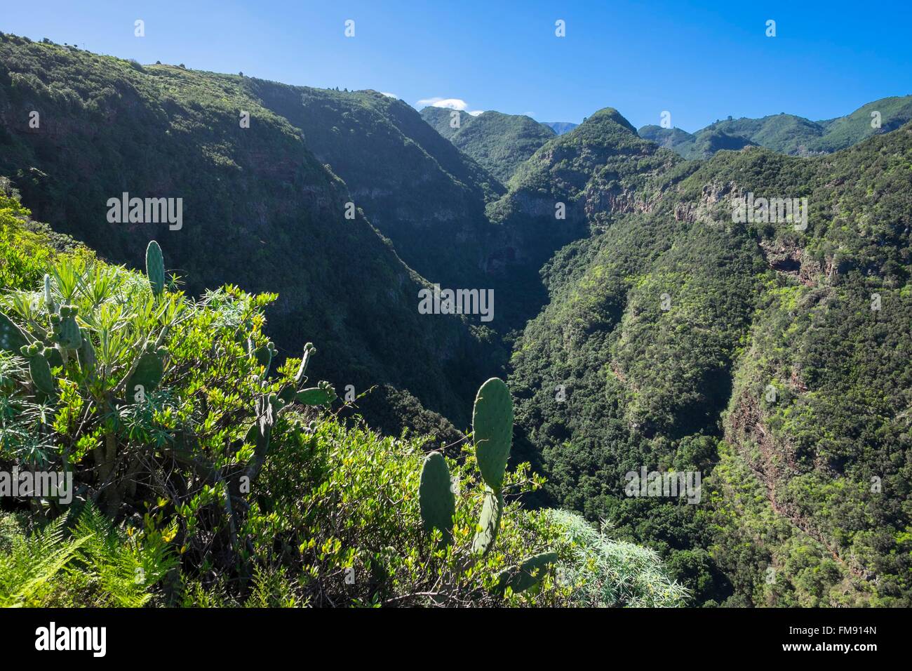 Spain, Canary Islands, La Palma island declared a Biosphere Reserve by ...