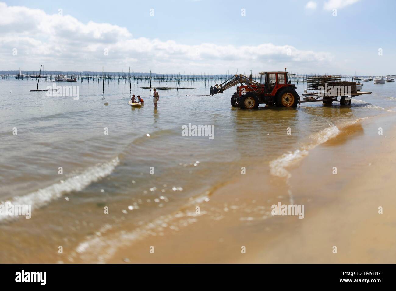 France, Gironde, Bassin d'Arcachon, Cap Ferret, tractor for Oyster ...