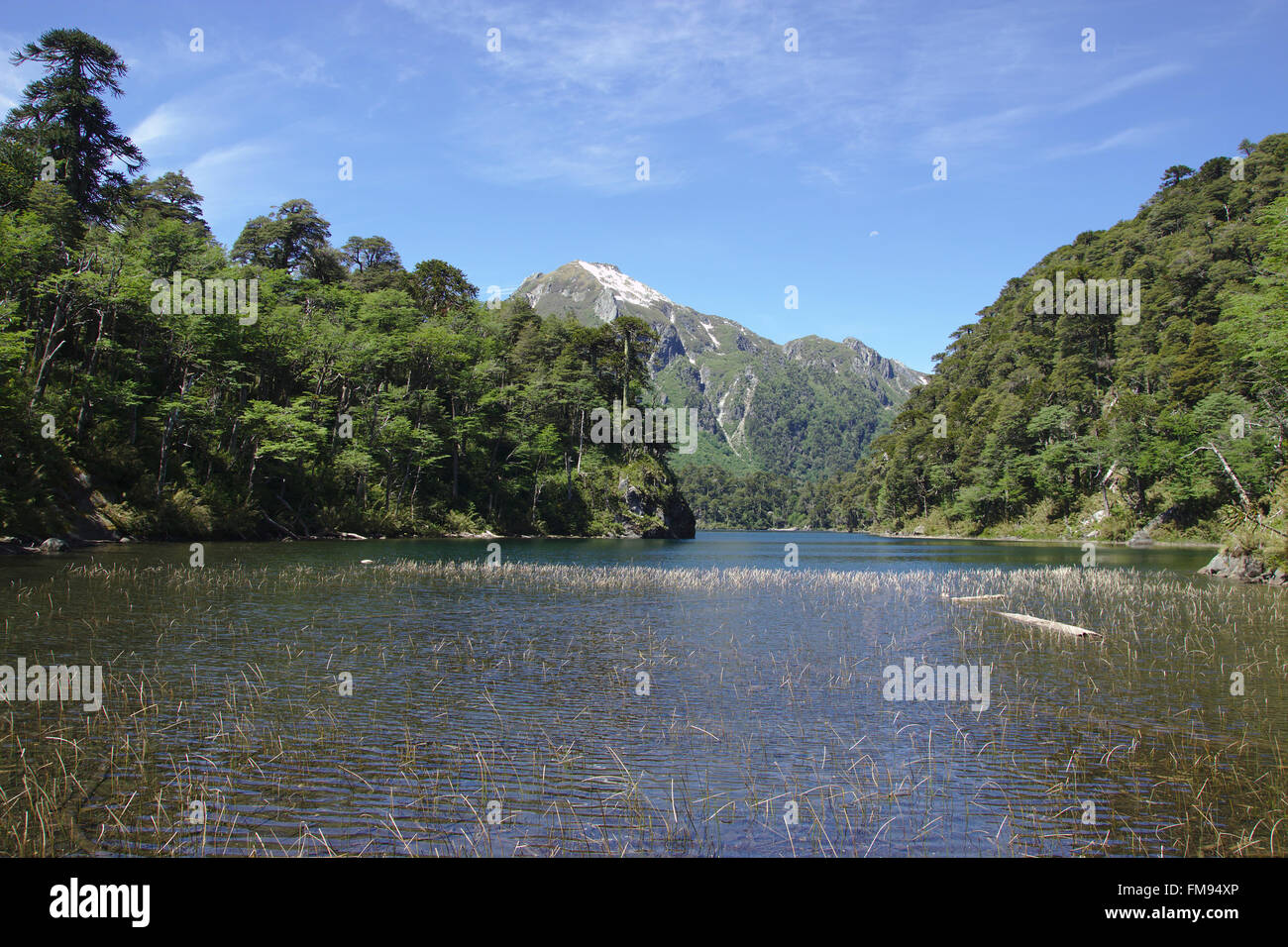 El toro lake hi-res stock photography and images - Alamy
