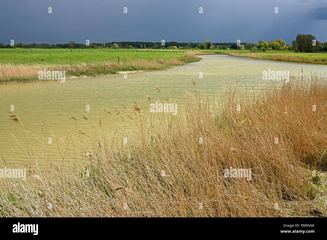 France, Somme, Baie de Somme, former meanders of the Somme and swamps ...