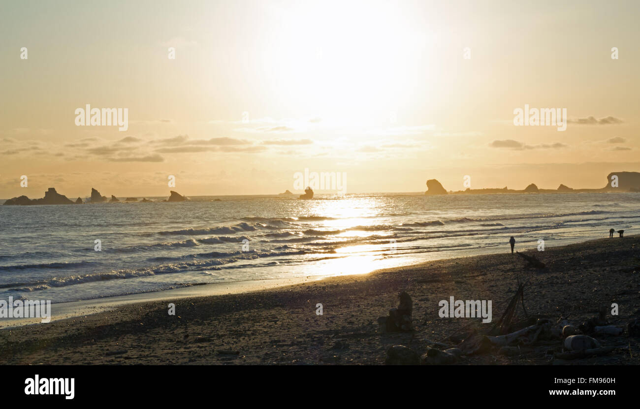 sunset at the beach in crescent city california Stock Photo - Alamy