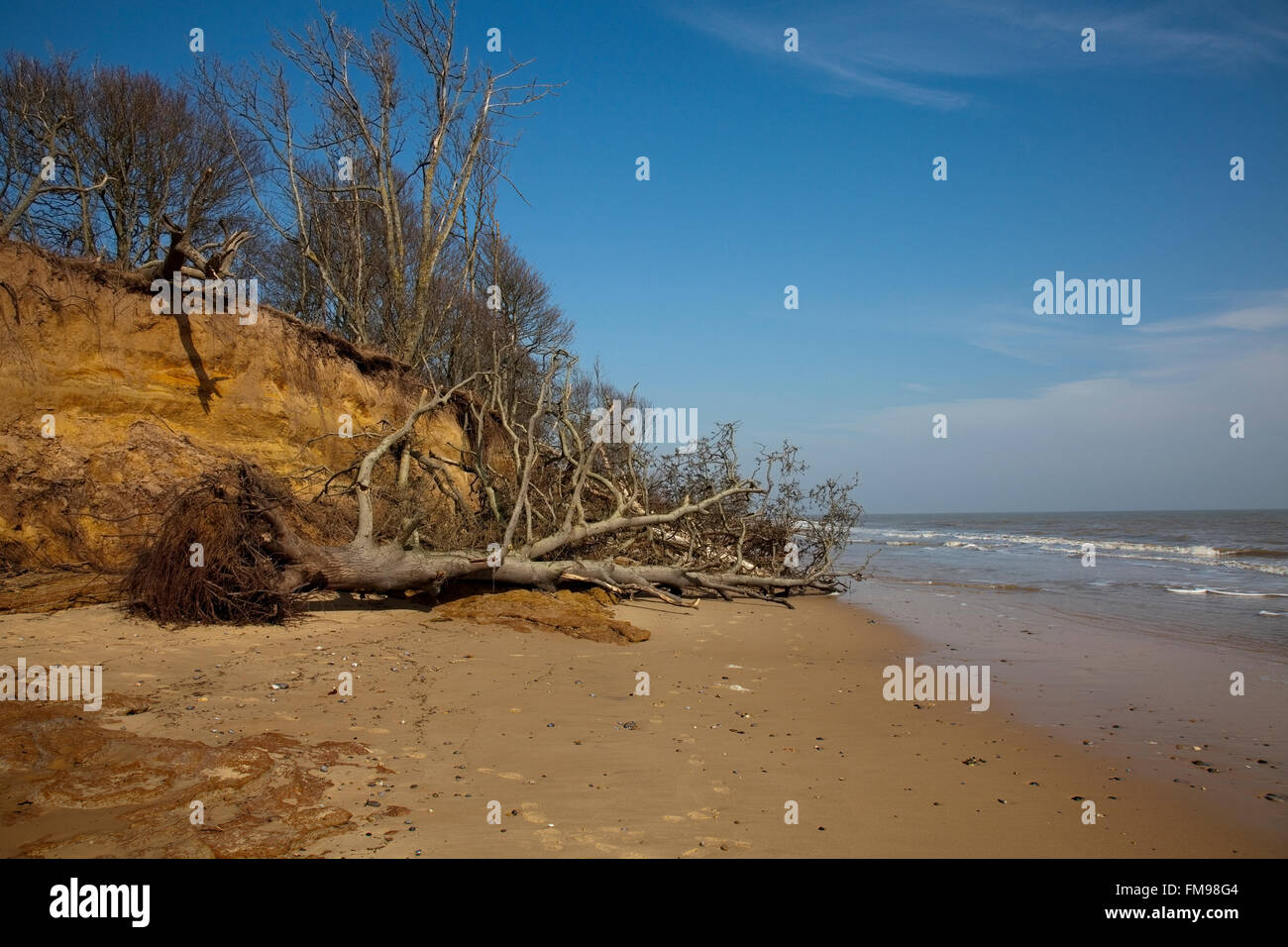 Benacre East Coast Stock Photo - Alamy
