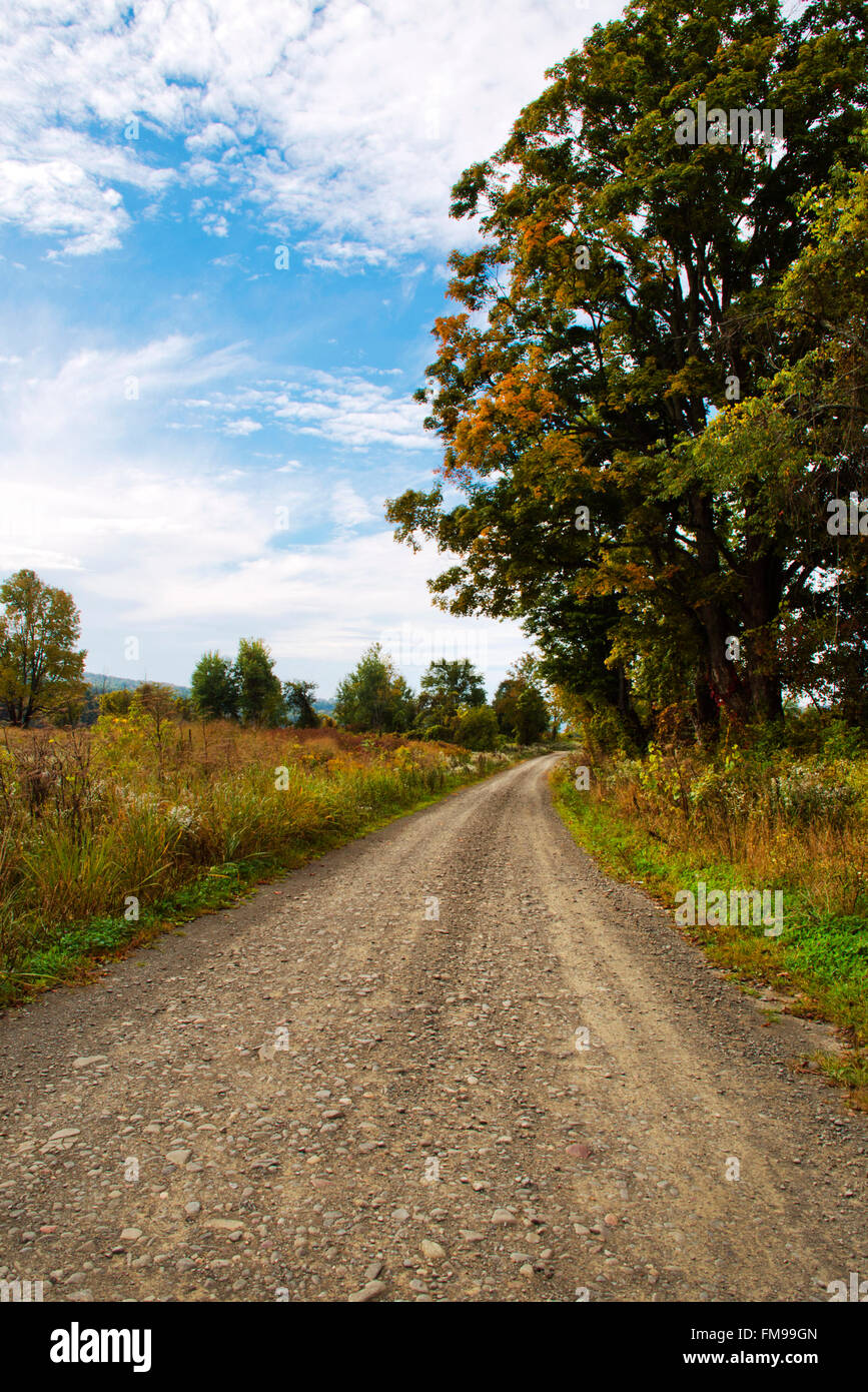 Country Dirt Road In The Fall