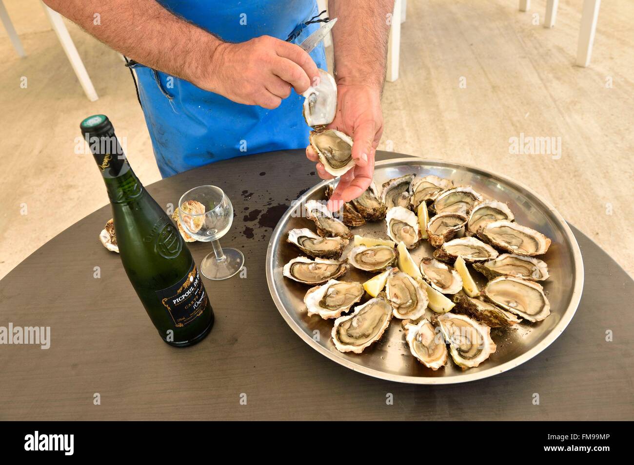 Bassin de thau oysters hi-res stock photography and images - Alamy
