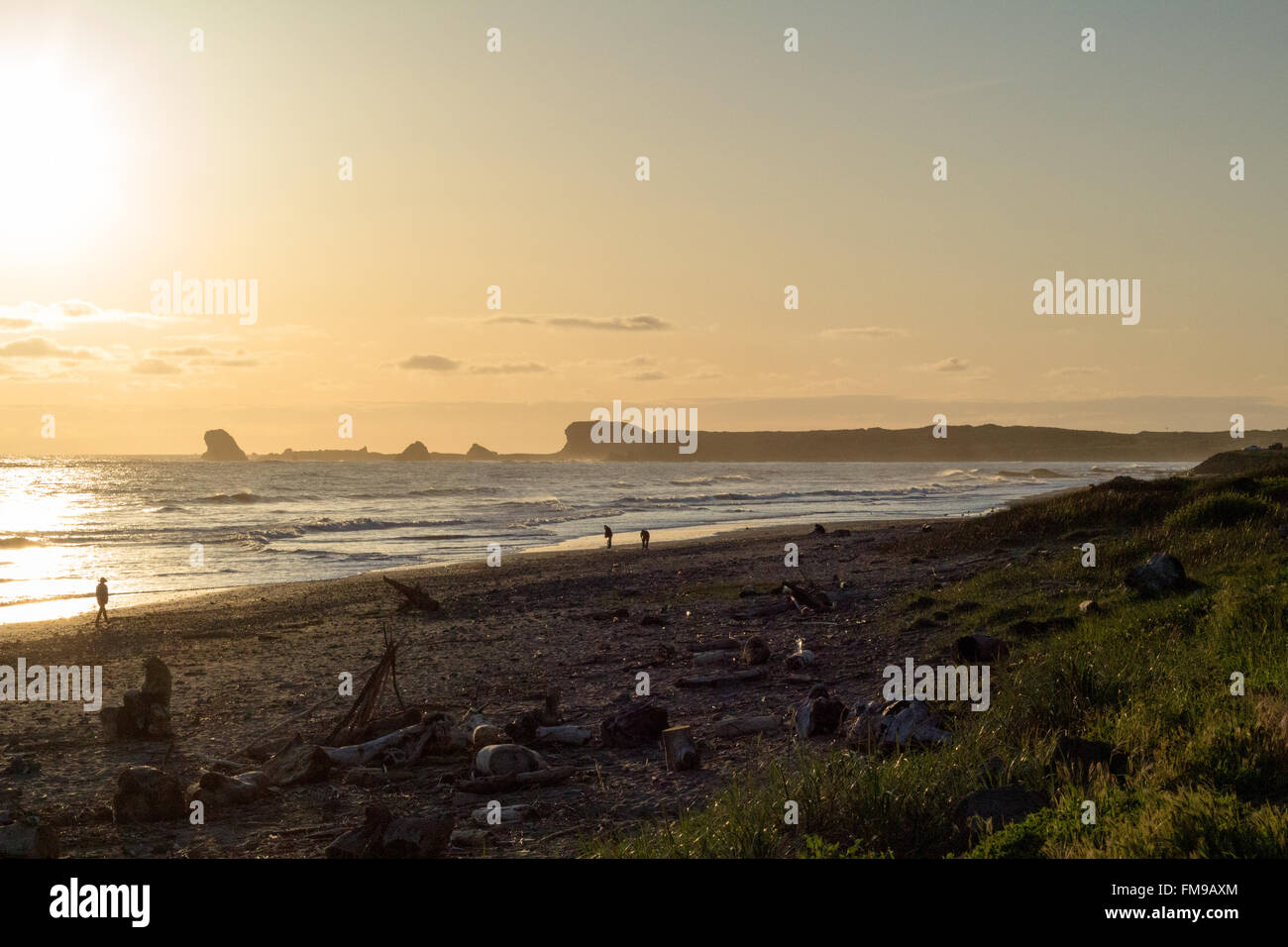 sunset at the beach in crescent city california Stock Photo - Alamy