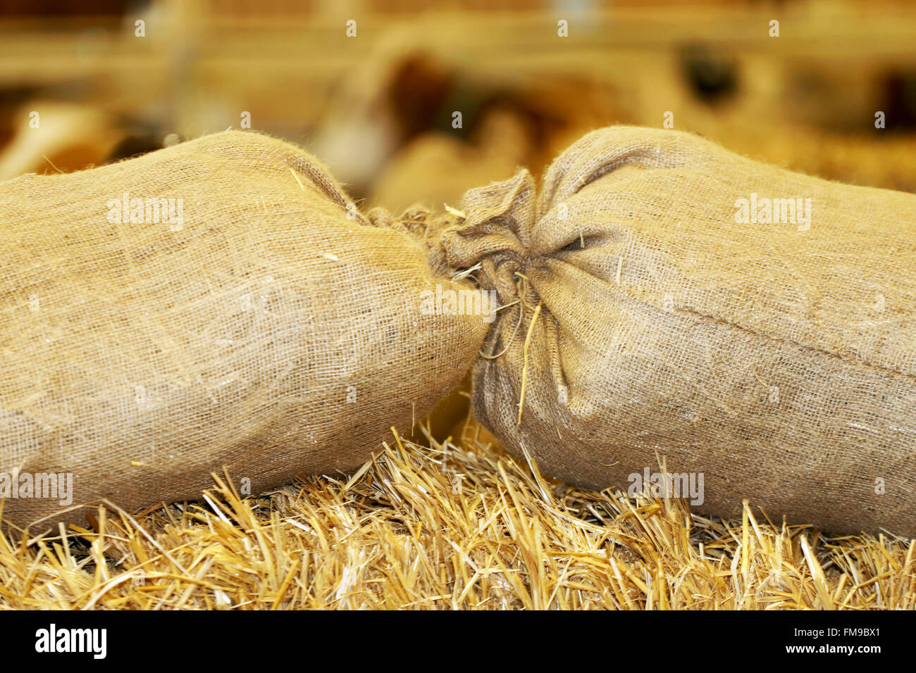 Summer background of hay from stack with bags Stock Photo - Alamy