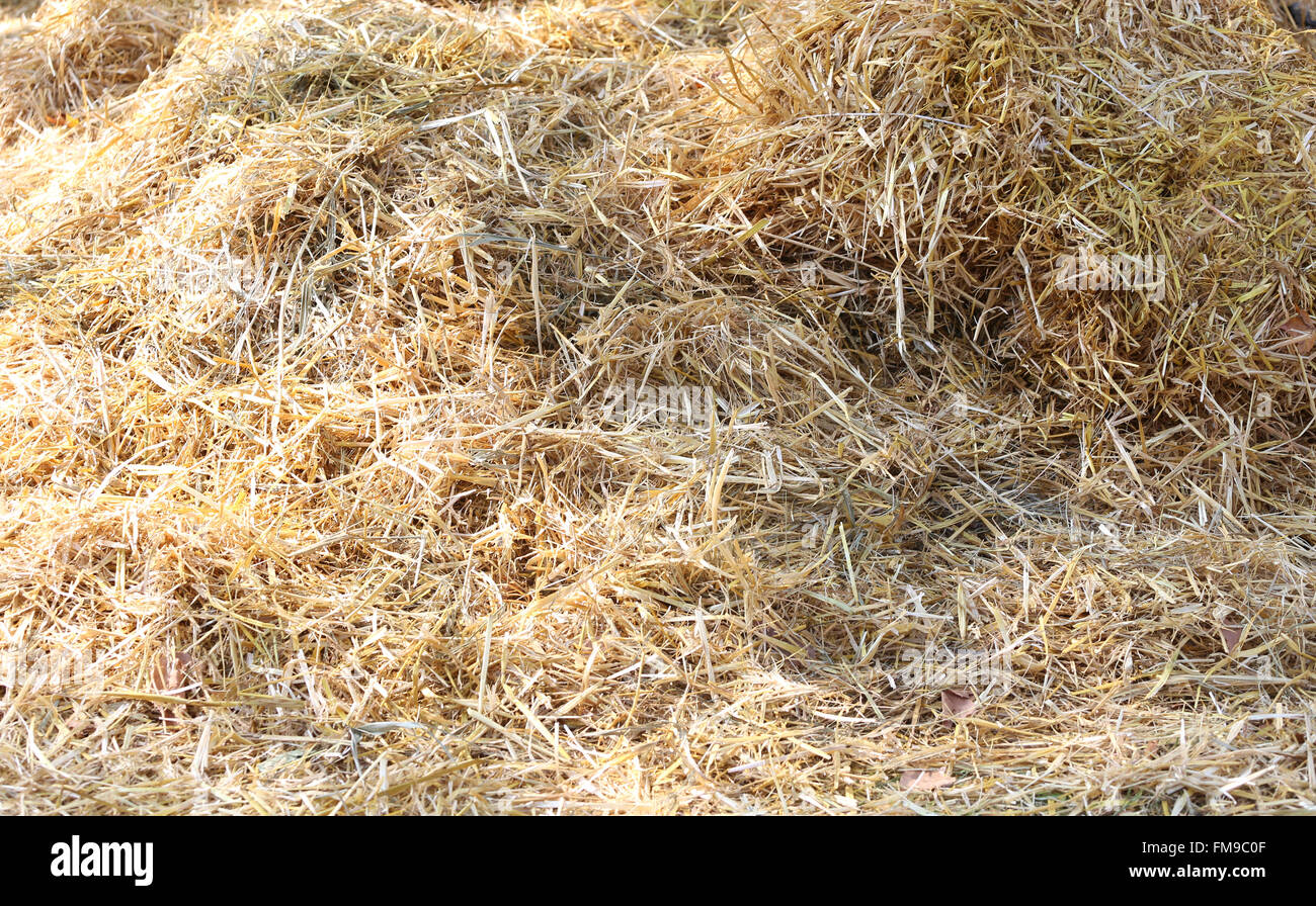 Summer background of hay from stack. Haystack closeup as a background ...