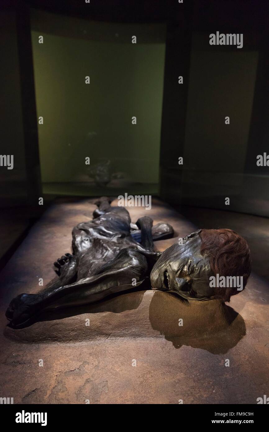 Denmark, Jutland, Aarhus-Hojbjerg, Moesgard Museum, Grauballe Man ...