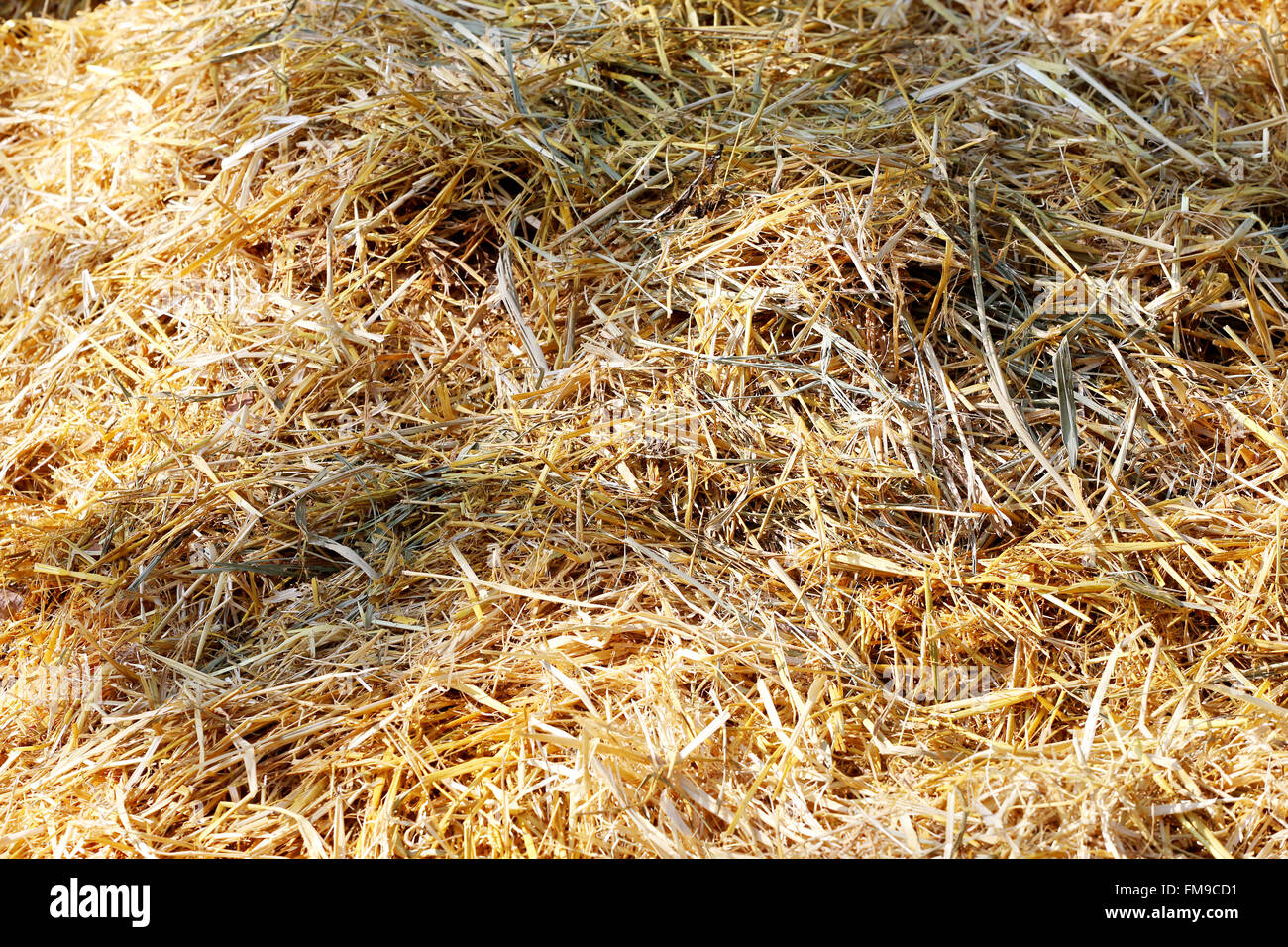 Summer background of hay from stack. Haystack closeup as a background ...