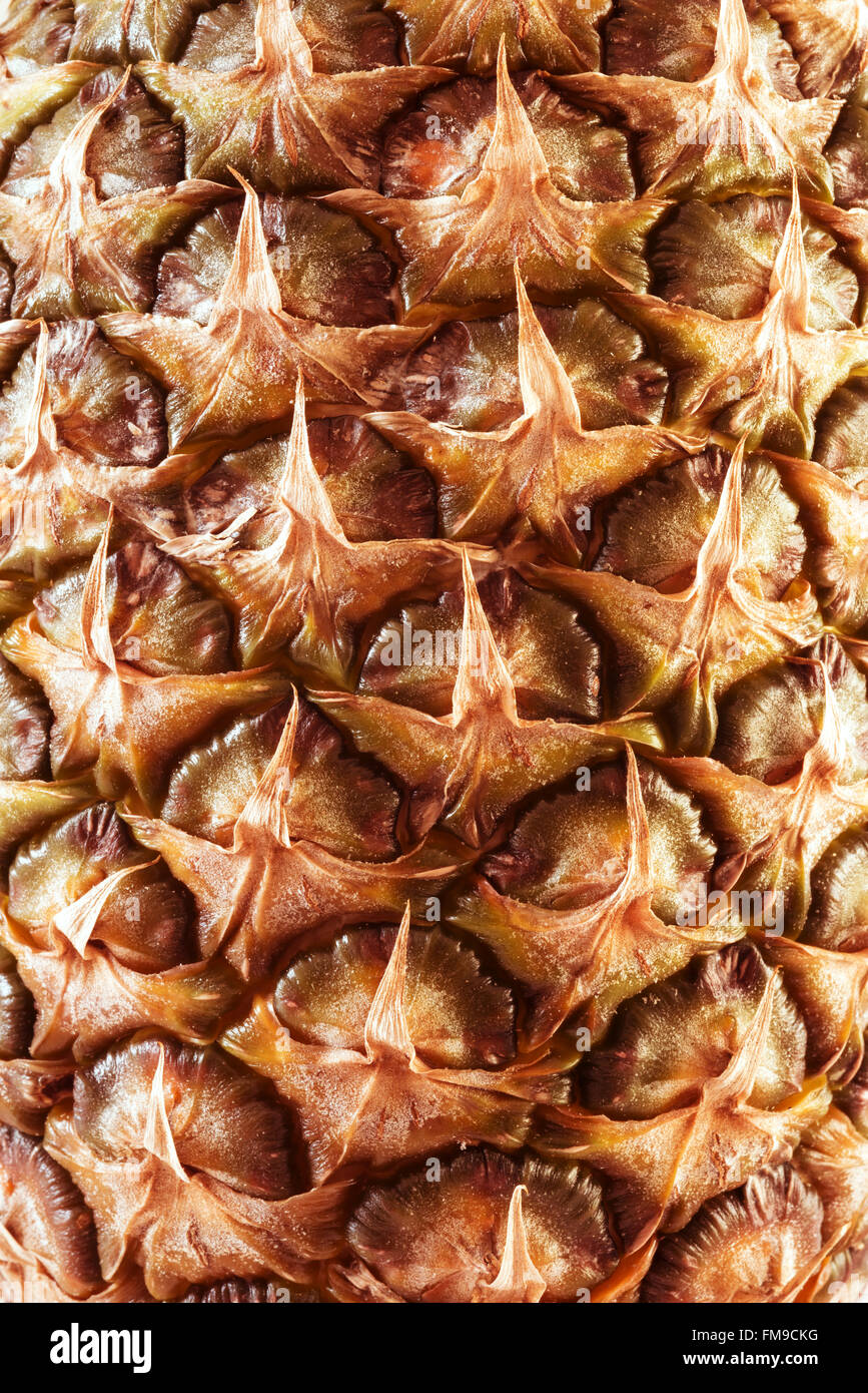 Close up of ripe brown pineapple skin, nature concept texture ...