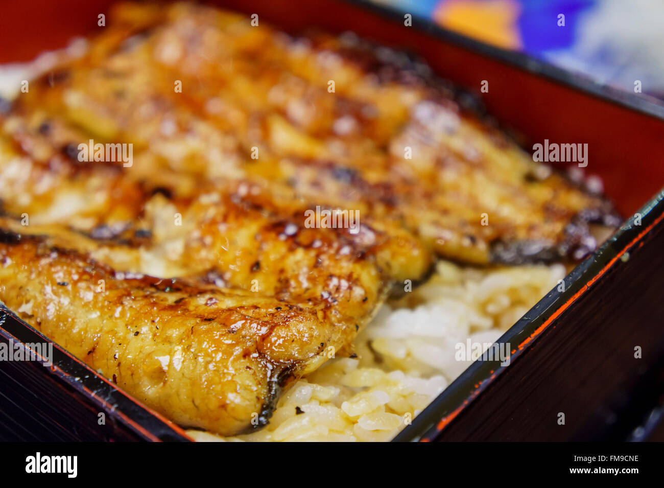 Eel Bento Box High Resolution Stock Photography and Images - Alamy
