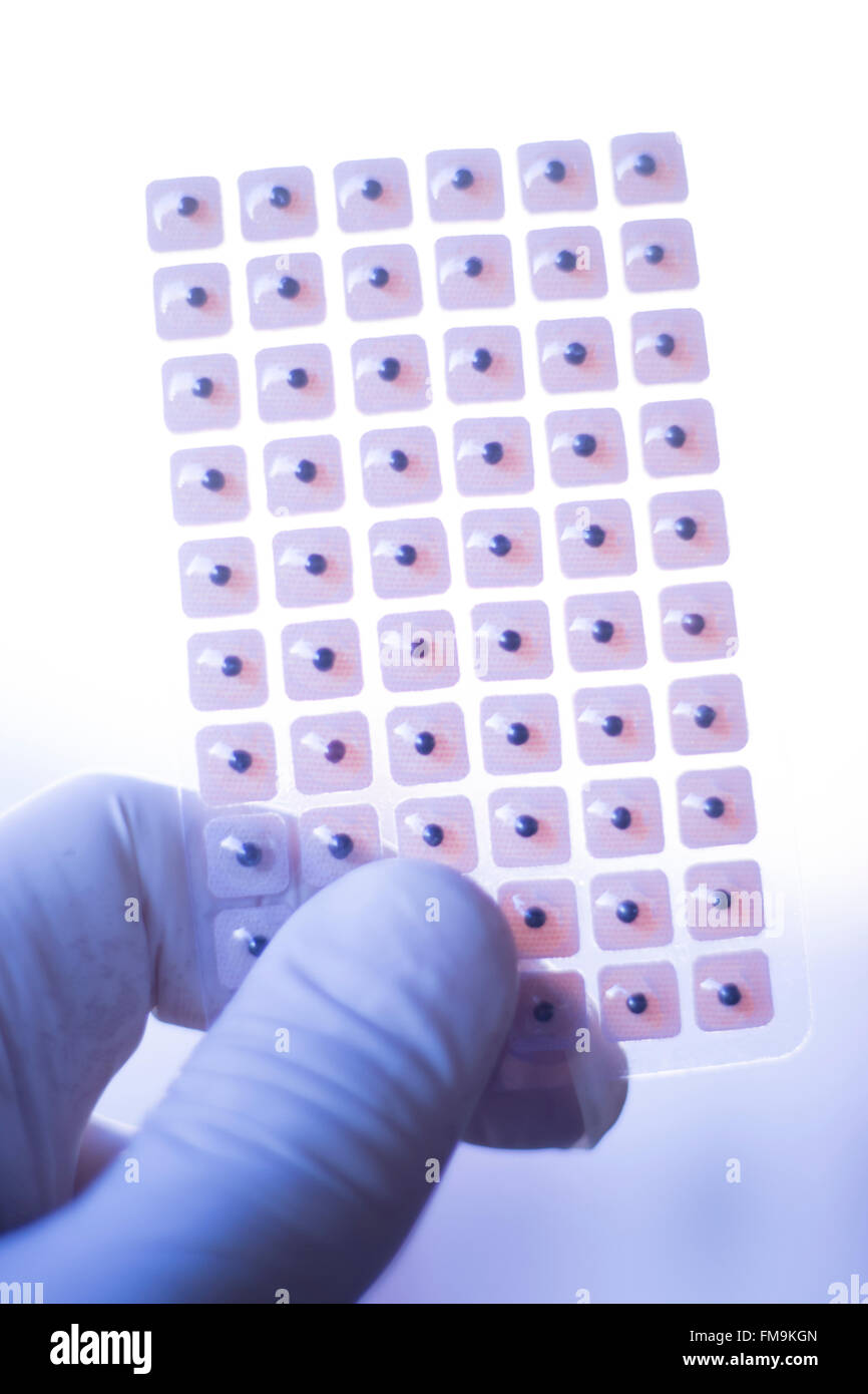 Auriculotherapy acupunture ear seed stickers pack for needle free ...