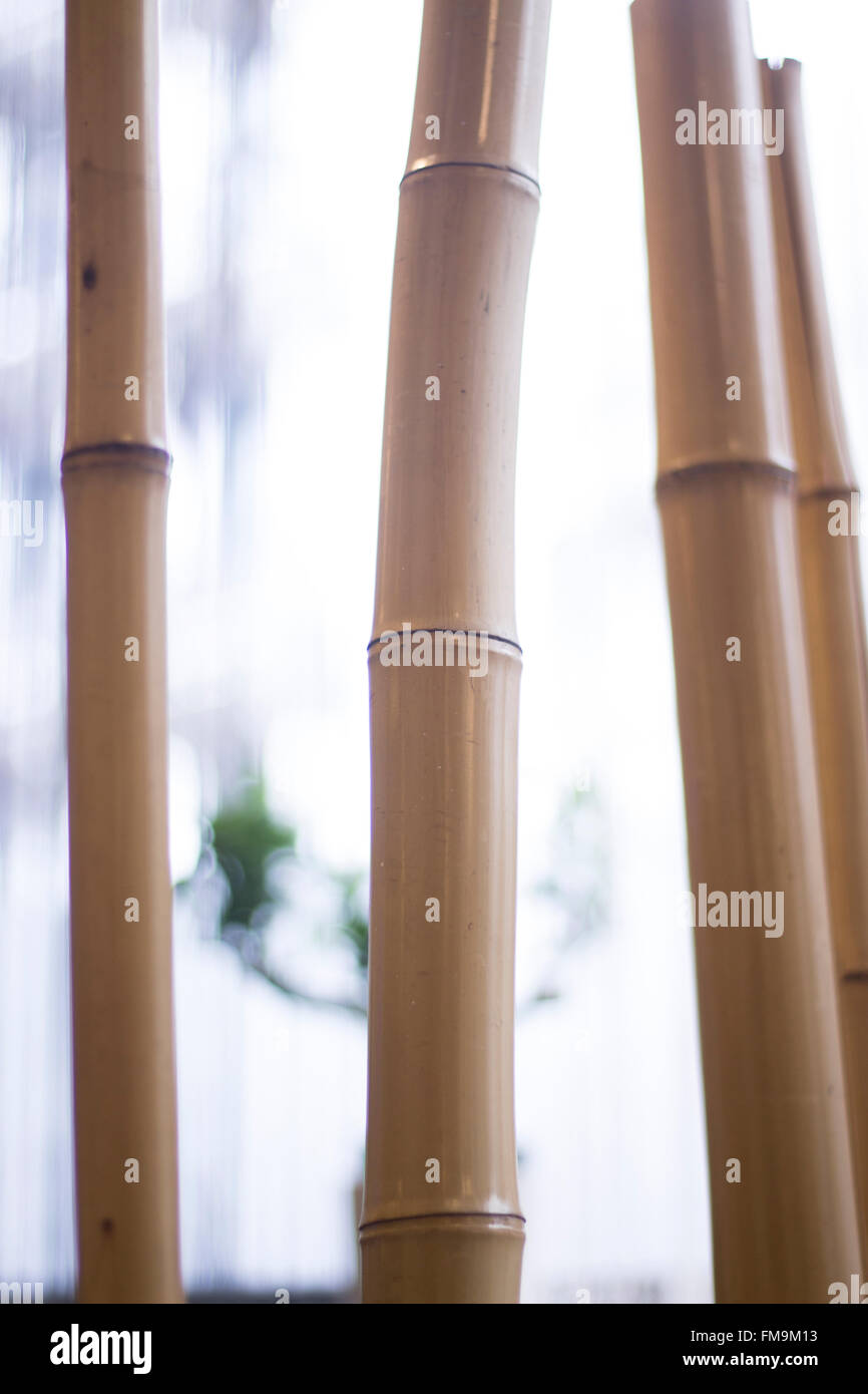 Bamboo poles interior design decoration in Japanese and Chinese Asian ...