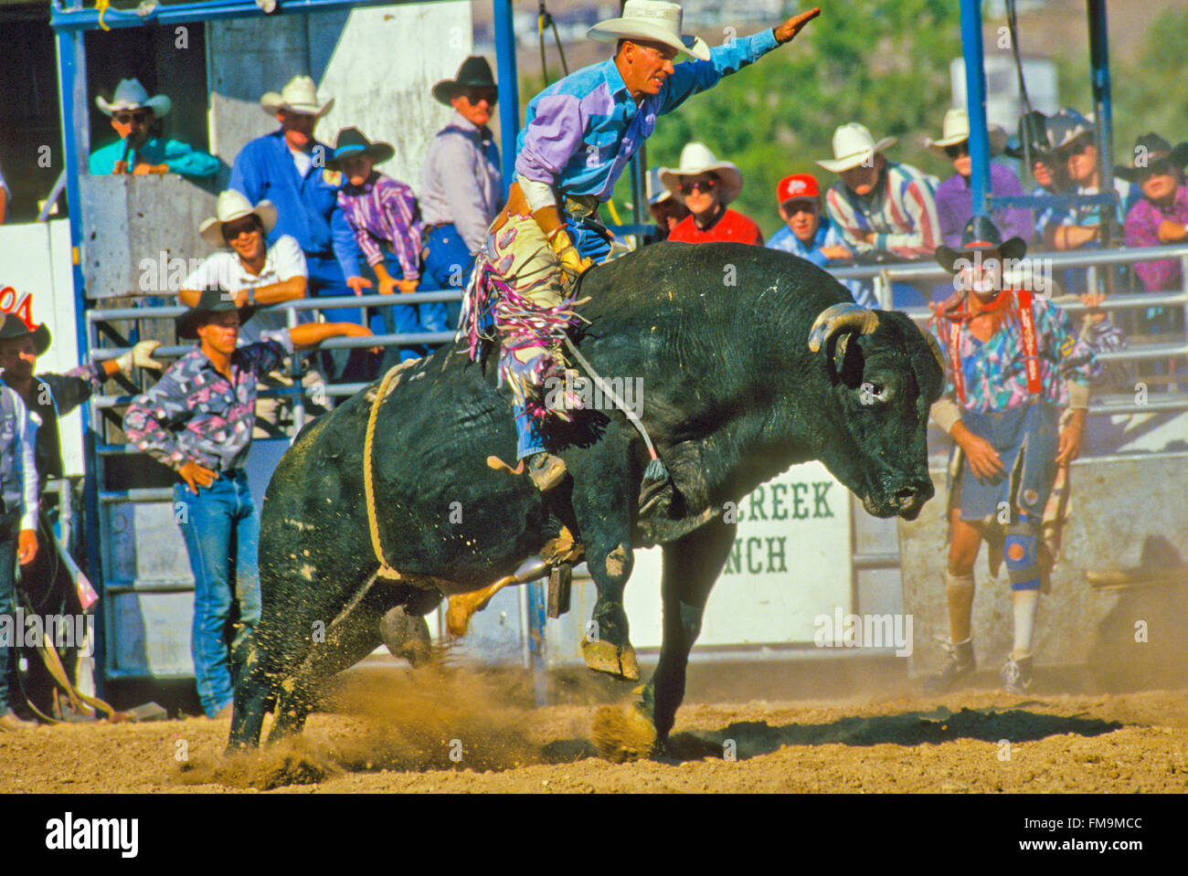 Cowboy riding bucking bull in rodeo hi-res stock photography and images ...