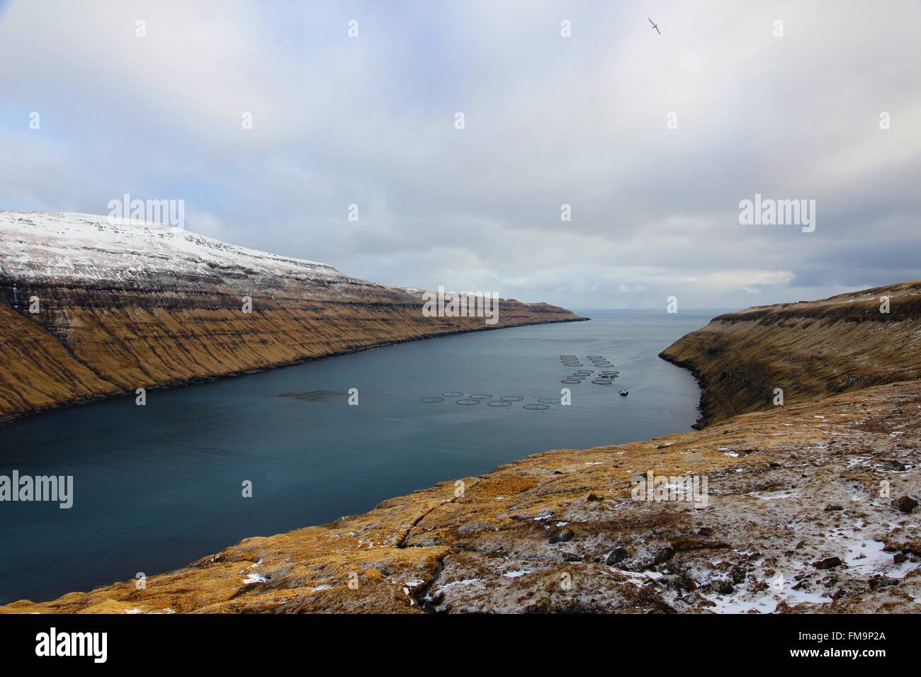 The nature of the Faroe Islands on a winter day in the north Atlantic ...