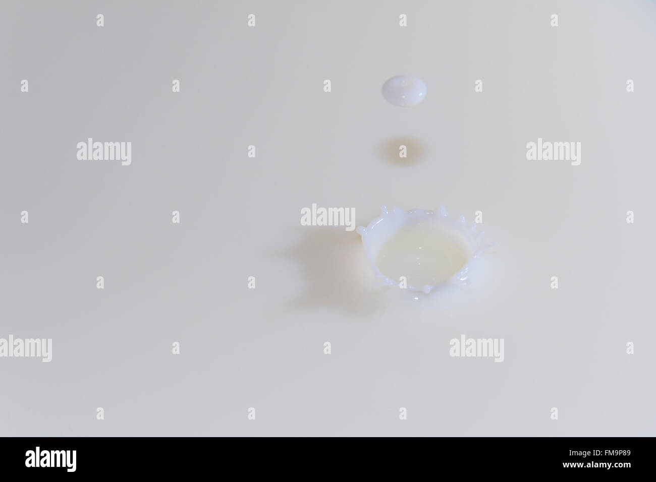 Splashing milk drop on a white milk background Stock Photo - Alamy