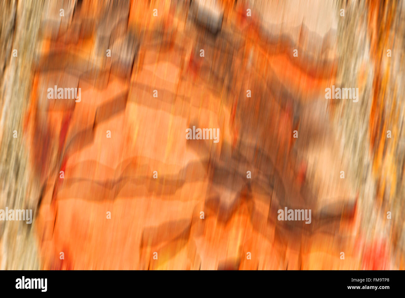 barck in the abstract close up of a tree color and texture Stock Photo ...