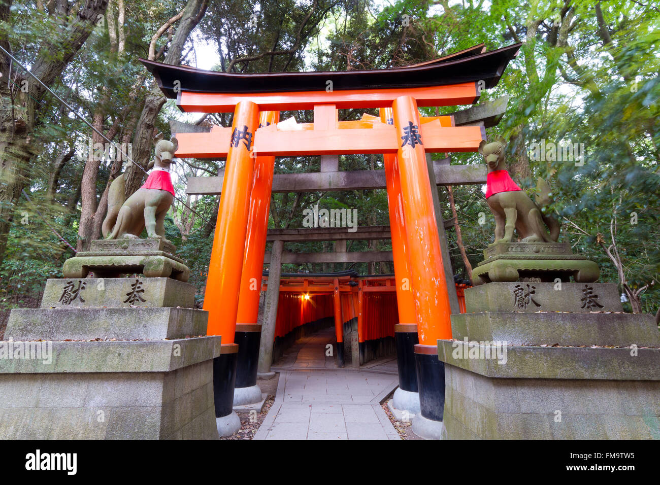 The famous Fushimi Inari-taisha in Fushimi-ku, Kyoto, Japan Stock Photo ...