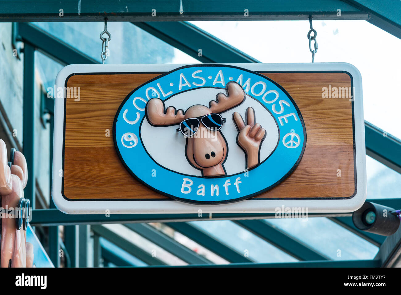 Cool as a moose hi-res stock photography and images - Alamy