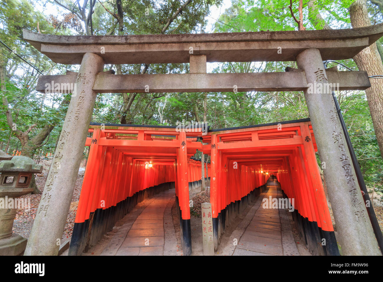 The famous Fushimi Inari-taisha in Fushimi-ku, Kyoto, Japan Stock Photo ...