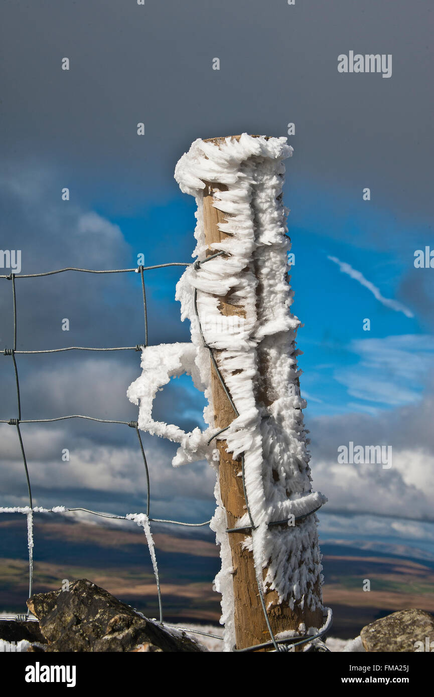 Wind fence hi-res stock photography and images - Alamy