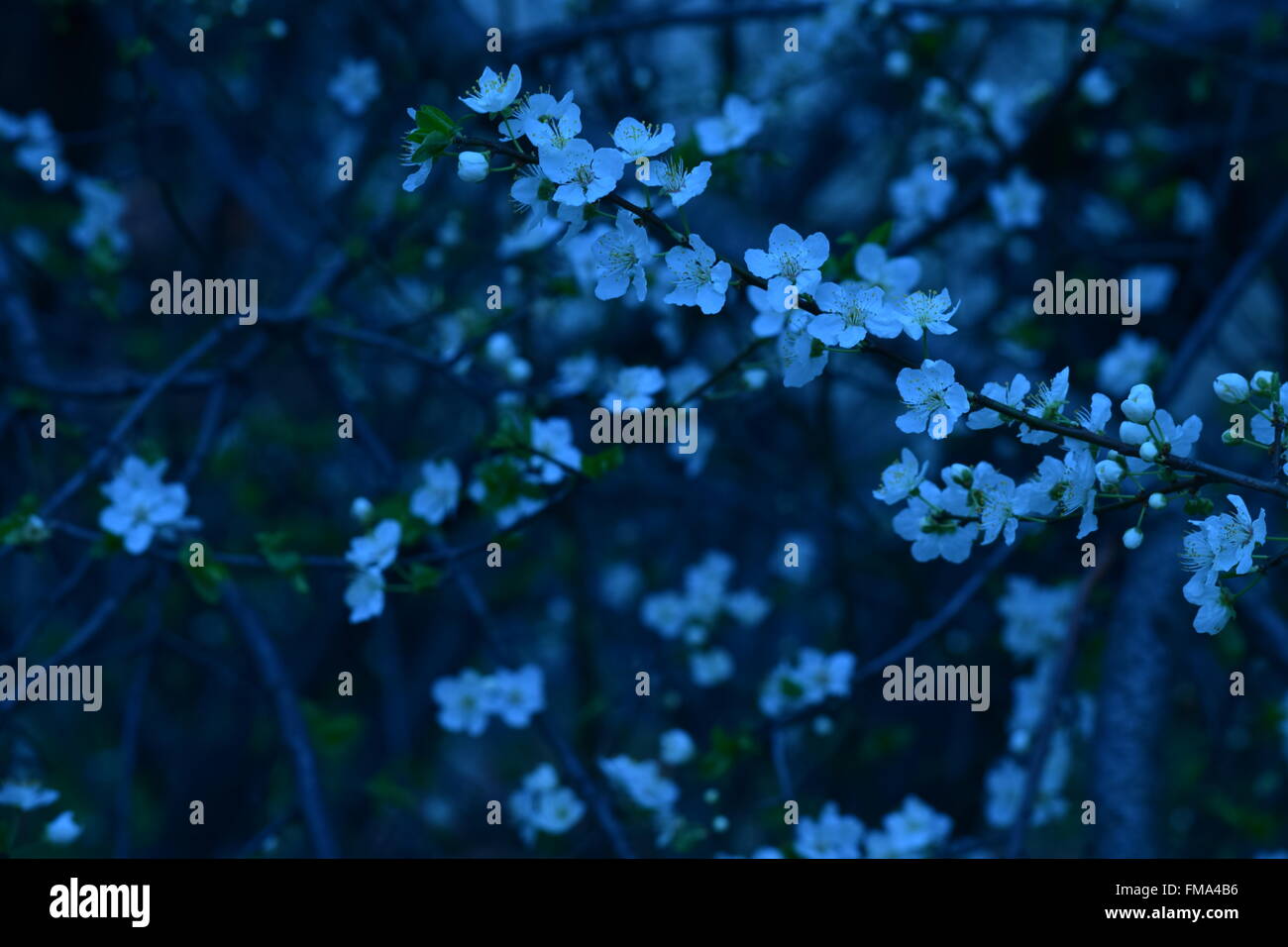 Blue picture hi-res stock photography and images - Alamy