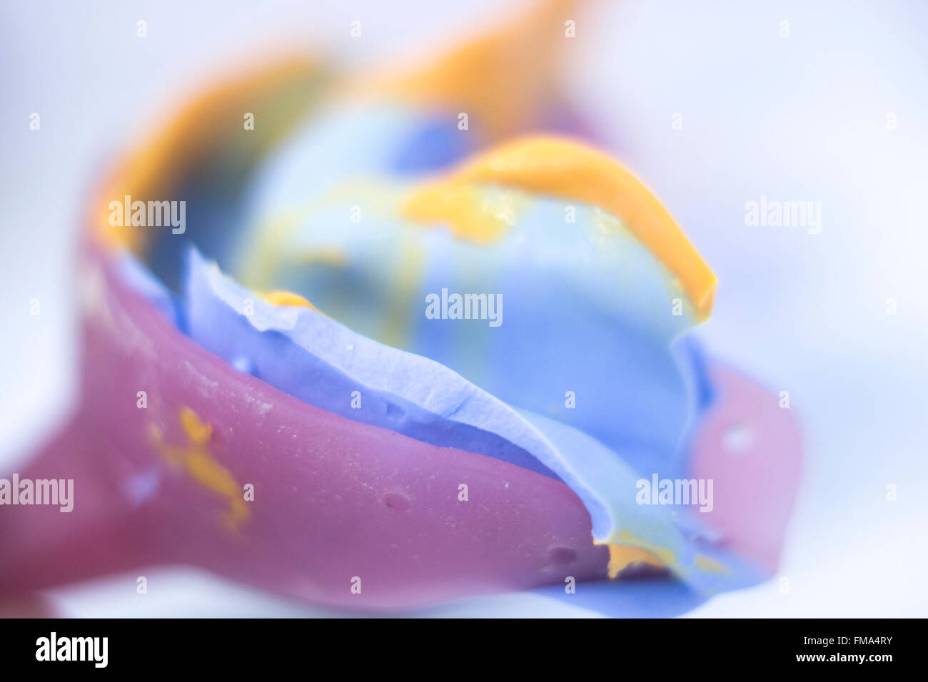 Dental mold dental impression plate in dentist's clinic Stock Photo - Alamy