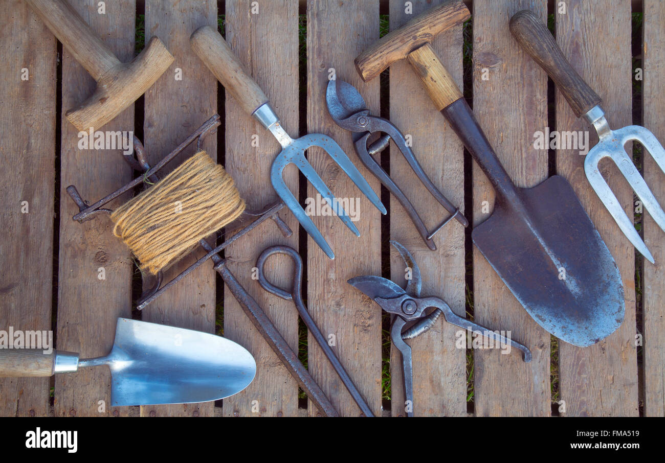 Garden tools laid out in potting shed Stock Photo - Alamy