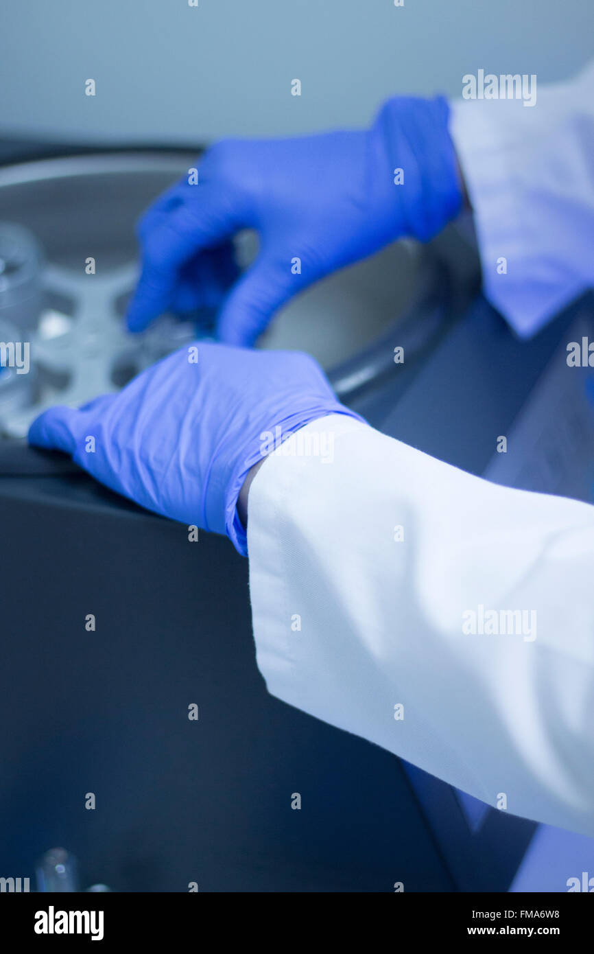 Medical blood plasma laboratory preparation of platelet rich human ...