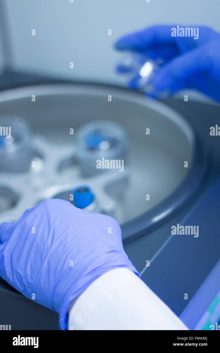 Medical blood plasma laboratory preparation of platelet rich human ...